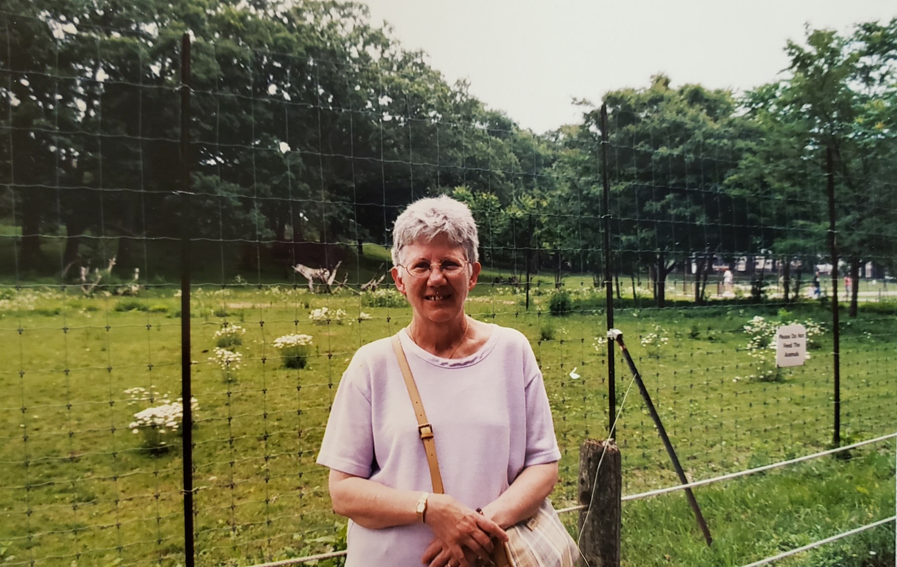 Barbara Ann Chu Obituary - Norwood, MA