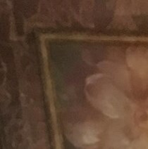 Hortencia Virginia Renteria Obituary - Yuma, AZ Hortencia Virginia Renteria Obituary - Yuma, AZ
