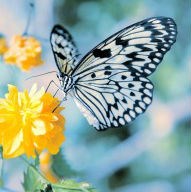 Eva Irene Millar Obituary - Kelowna, BC