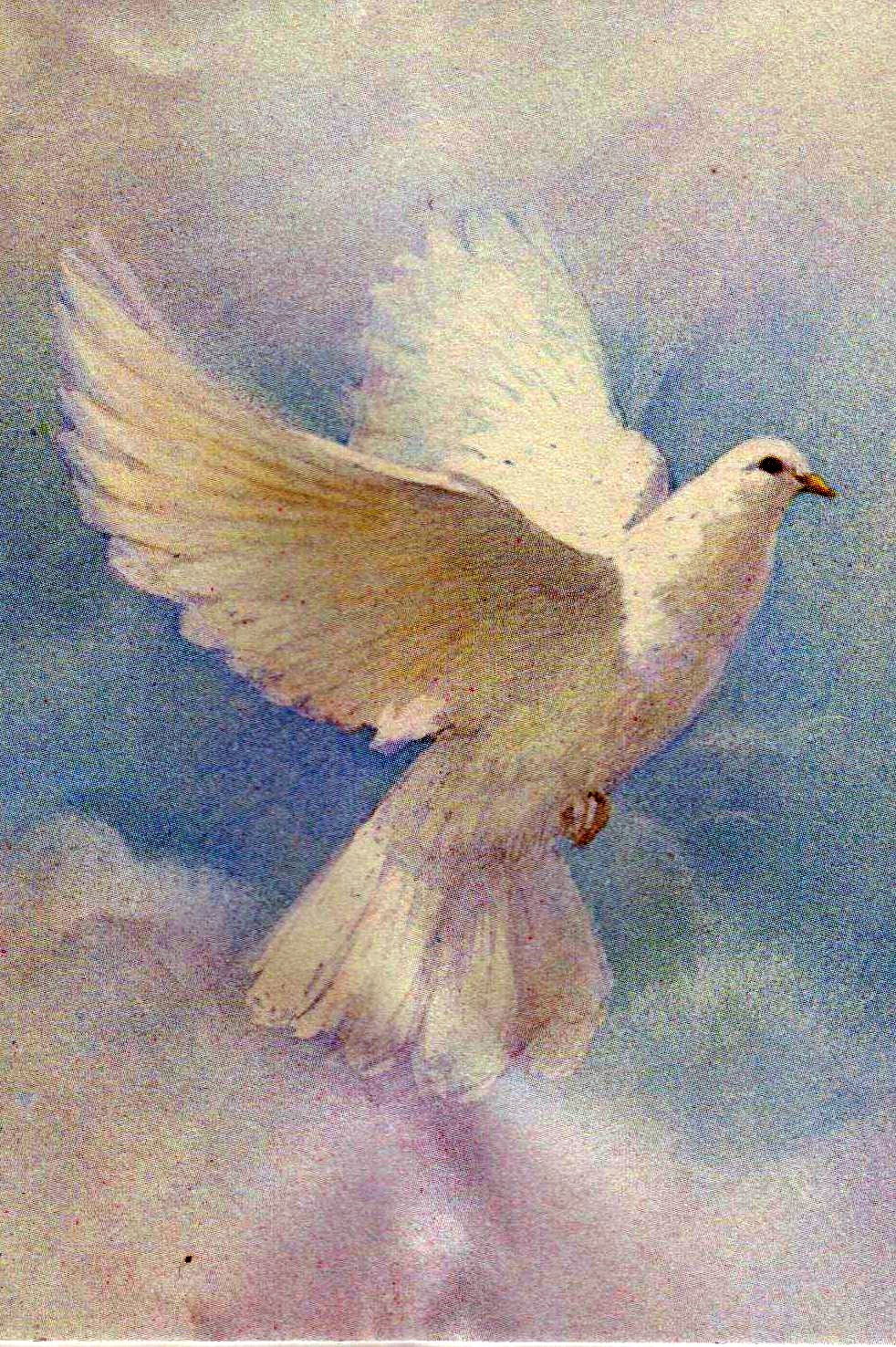 Carol Behrmann Obituary - Deer Park, NY