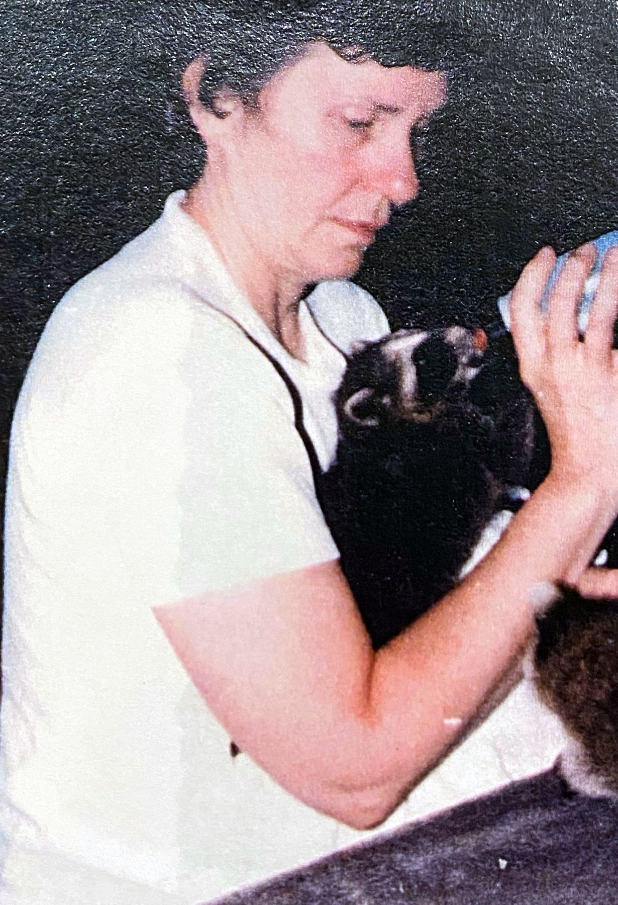 Eleanor Lang's Instagram, Twitter & Facebook on IDCrawl