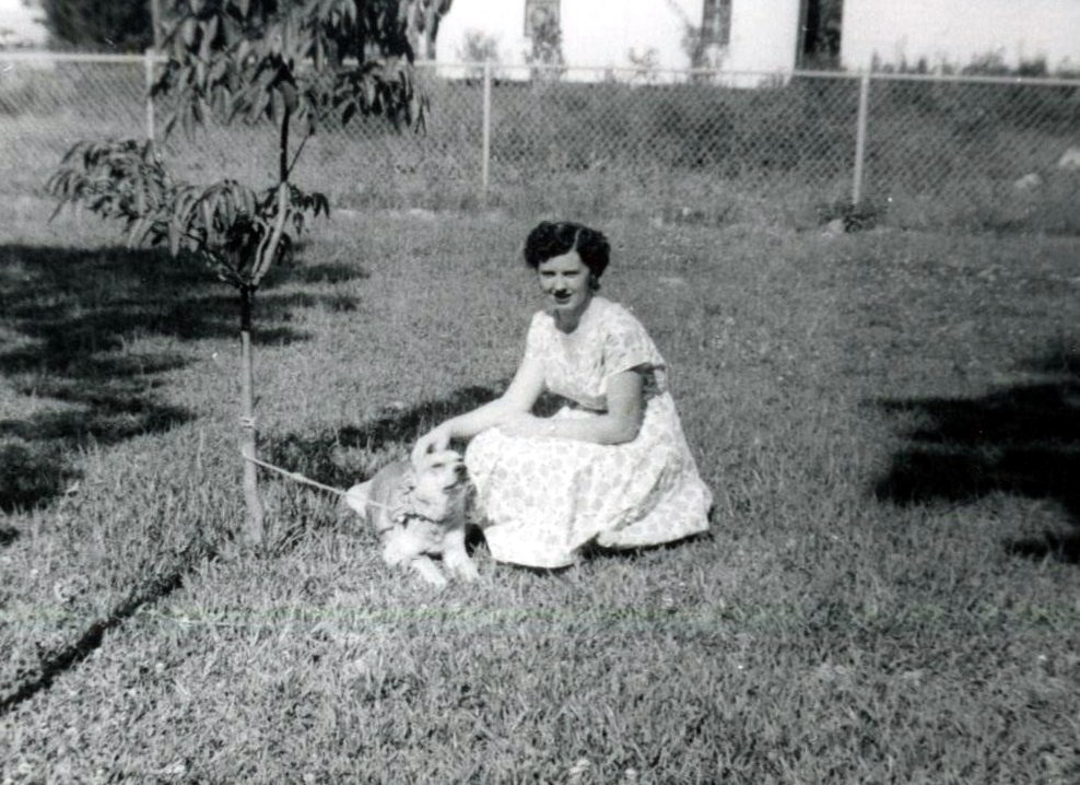 Barbara N. Hamel Obituary - Houston, TX