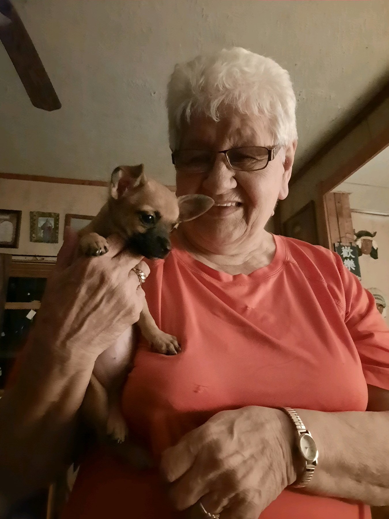 Sylvia Robey Obituary - Parkersburg, WV