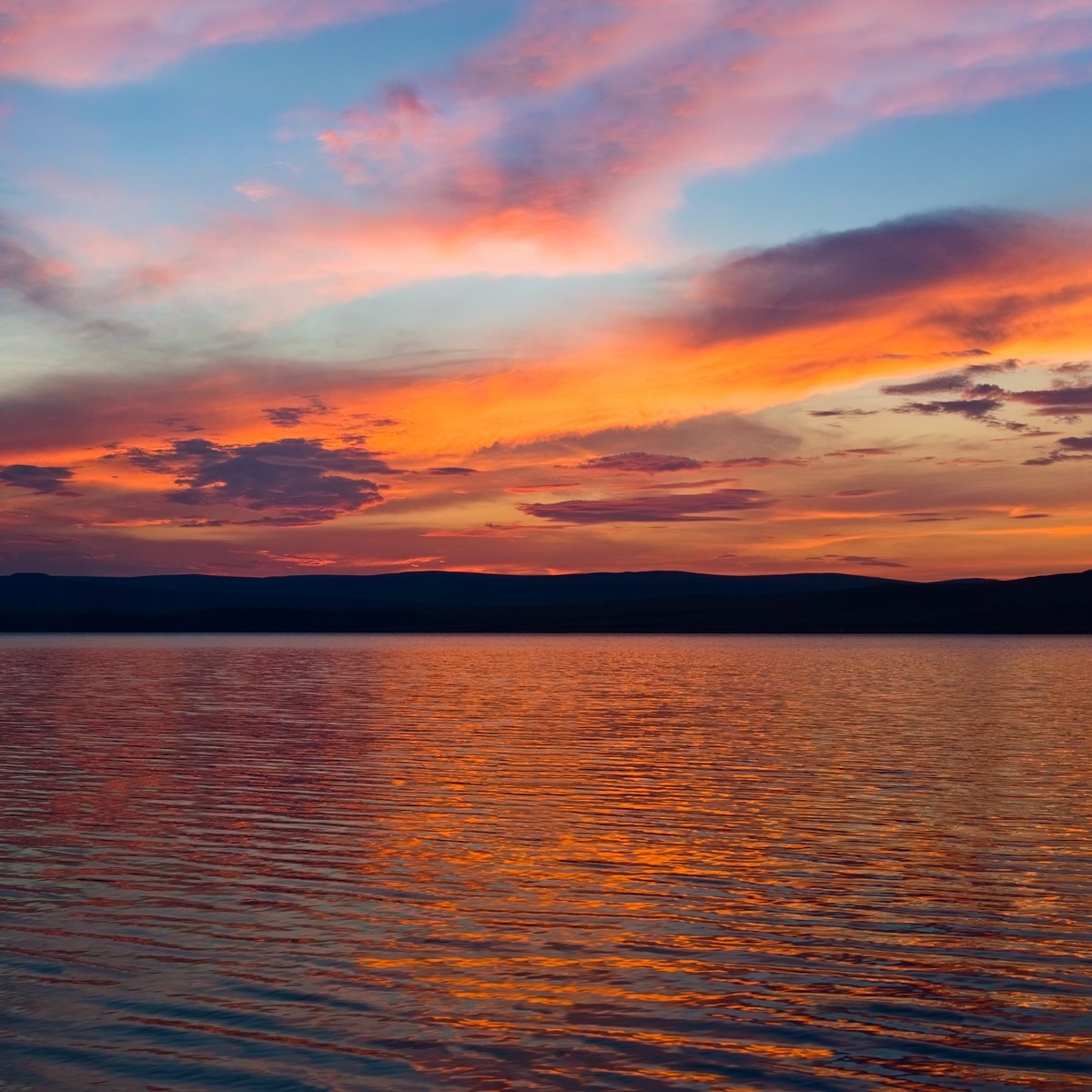 Robert Woods Ricker Obituary - Falls Church, VA