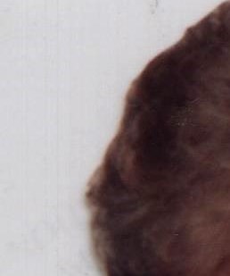 Mary Bendele Obituary - Ankeny, IA Mary Bendele Obituary - Ankeny, IA
