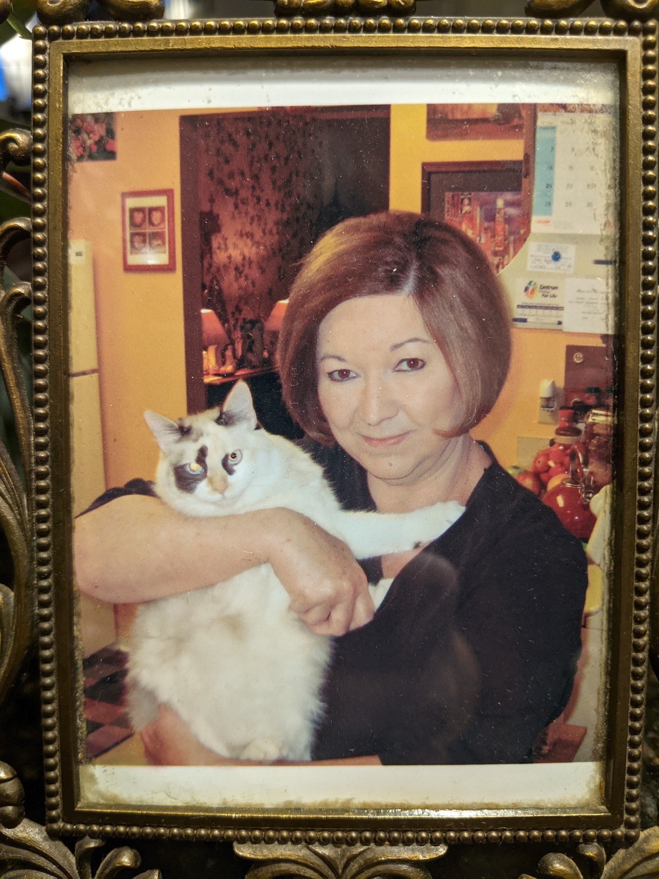 Diane Taylor Obituary - Homewood, AL