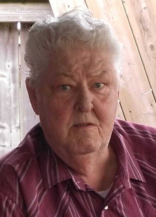 Harold Edward Simon Obituary - Brantford, ON