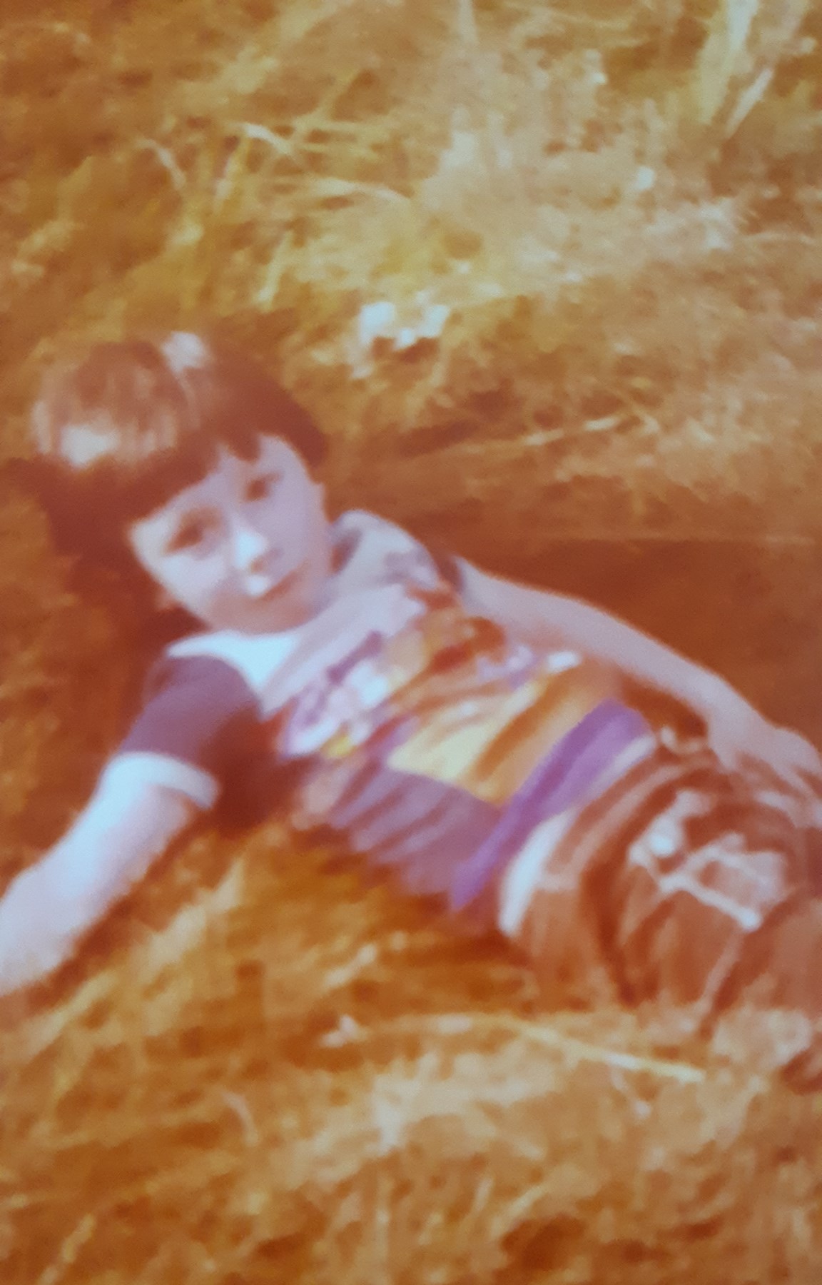 Solway Firth Spaceman Explained