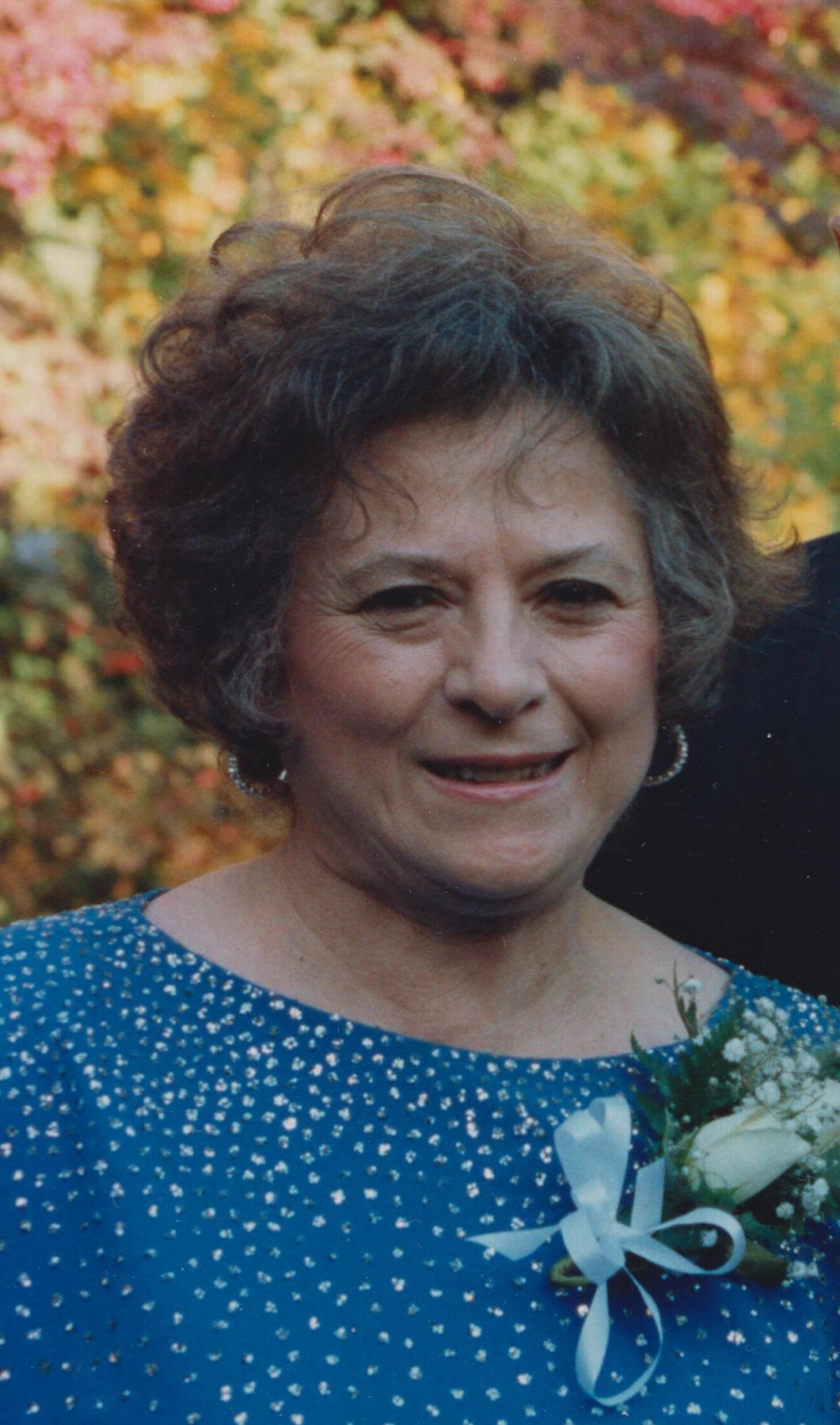 Louise Monaco Obituary - New London, CT
