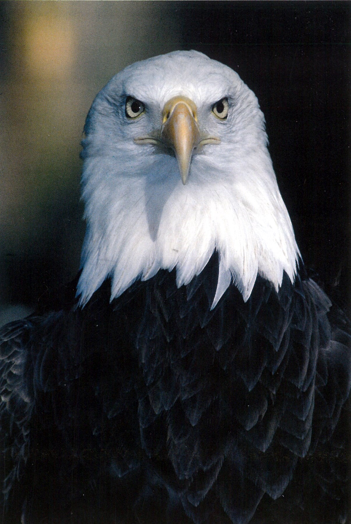 Hal Smith Obituary - Fort Wayne, IN