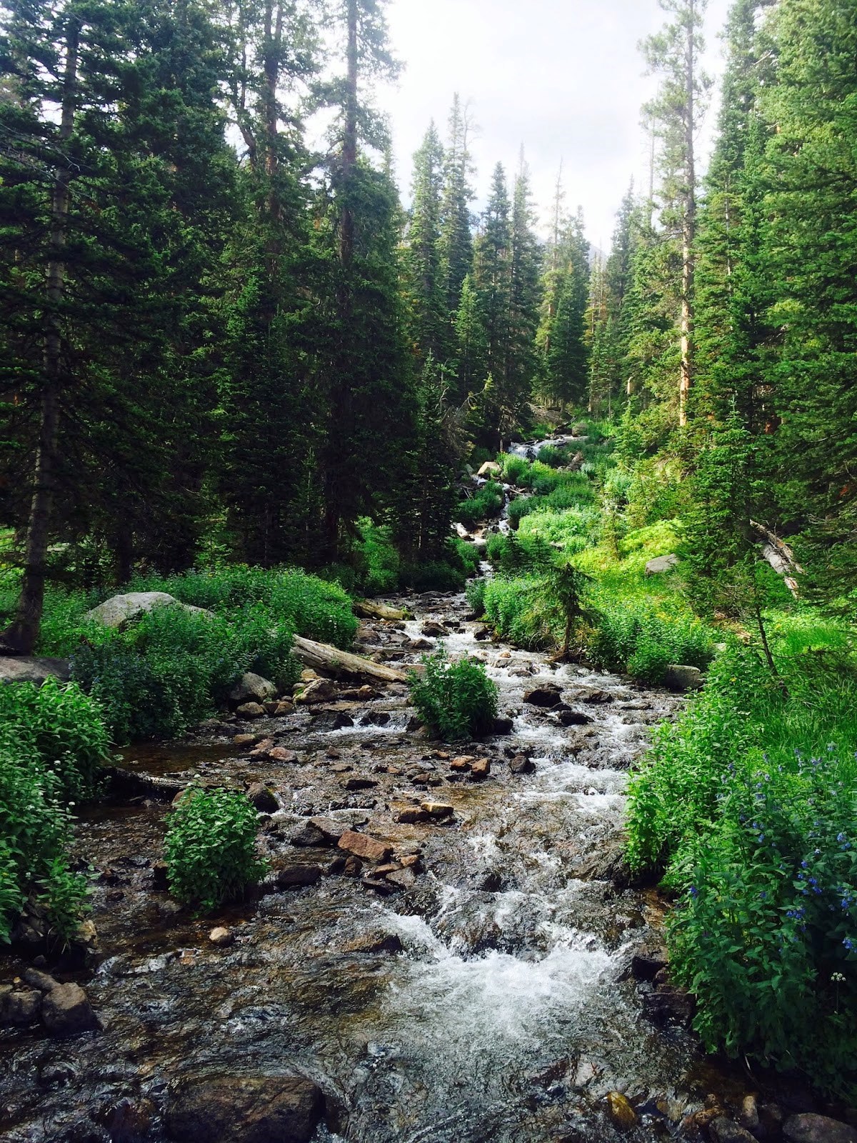 Ryan Anthony Tomich Obituary - Monroe, WA