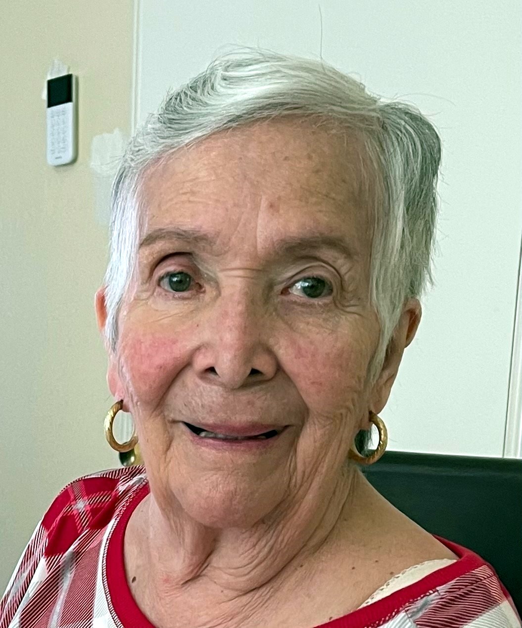 Maria L. Guerra Obituary - Houston, TX