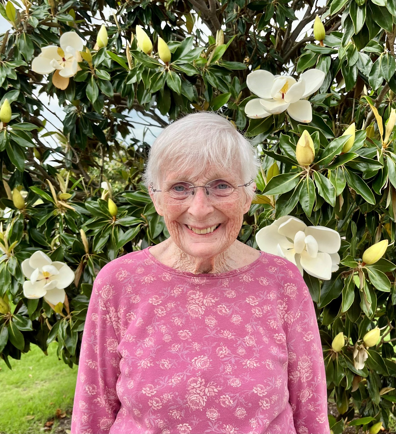 DyAnne Franklin Obituary - Grand Blanc, MI