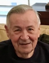 Joseph Kapcheck Obituary - Arlington Heights, IL