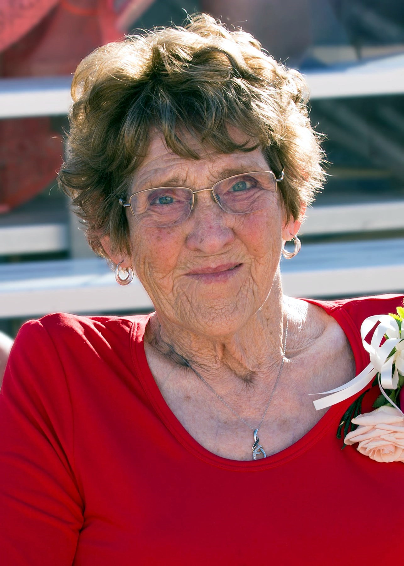 Ilene Lee Pugh Obituary - North Palm Beach, FL