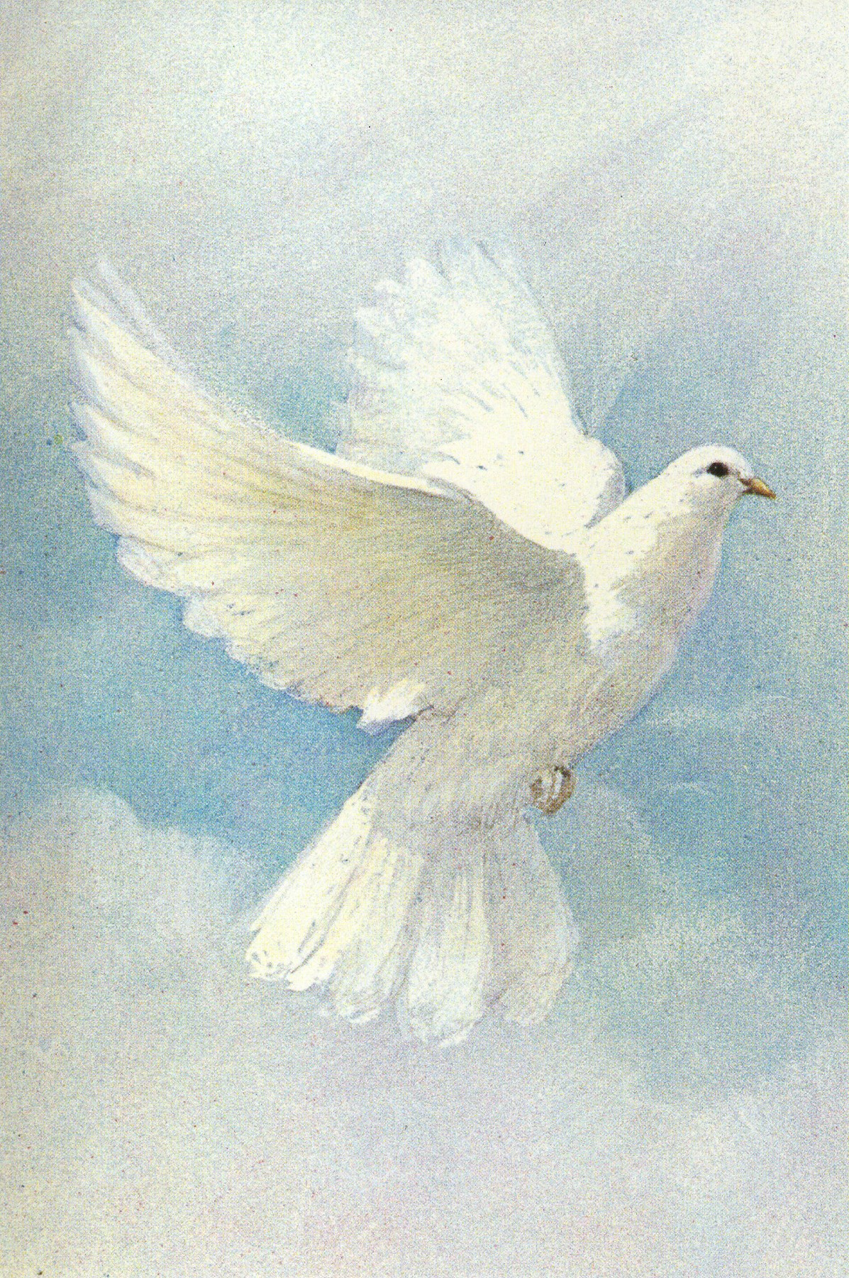 Nellie Perez Obituary Fresno Ca
