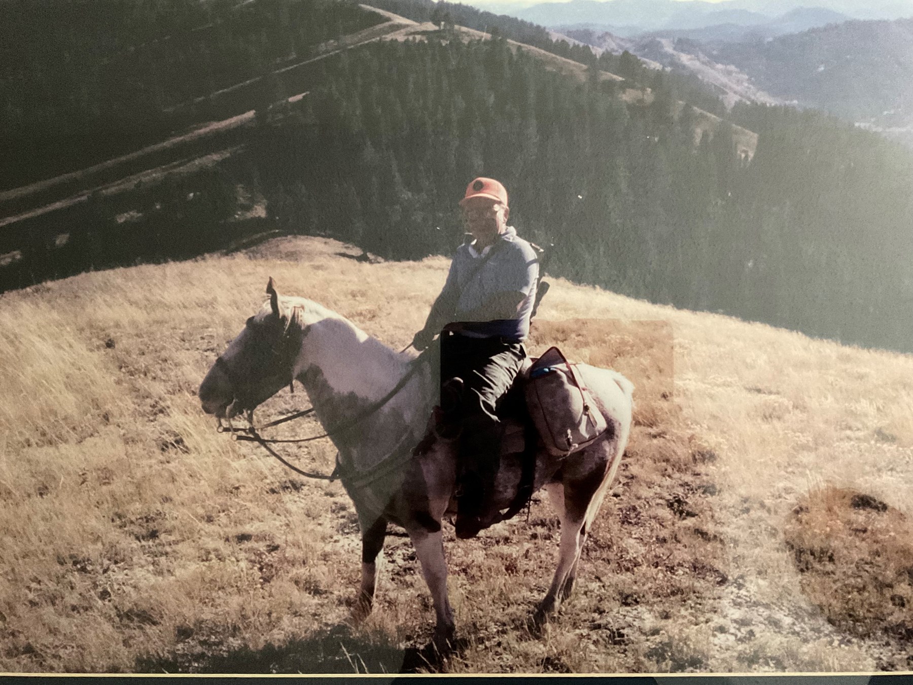 Laurence "Larry" Jones Obituary - Houston, TX