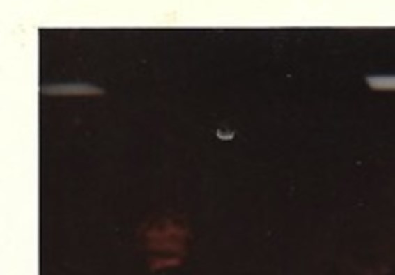Anna Marie Kelly Obituary - San Jose, CA Anna Marie Kelly Obituary - San Jose, CA
