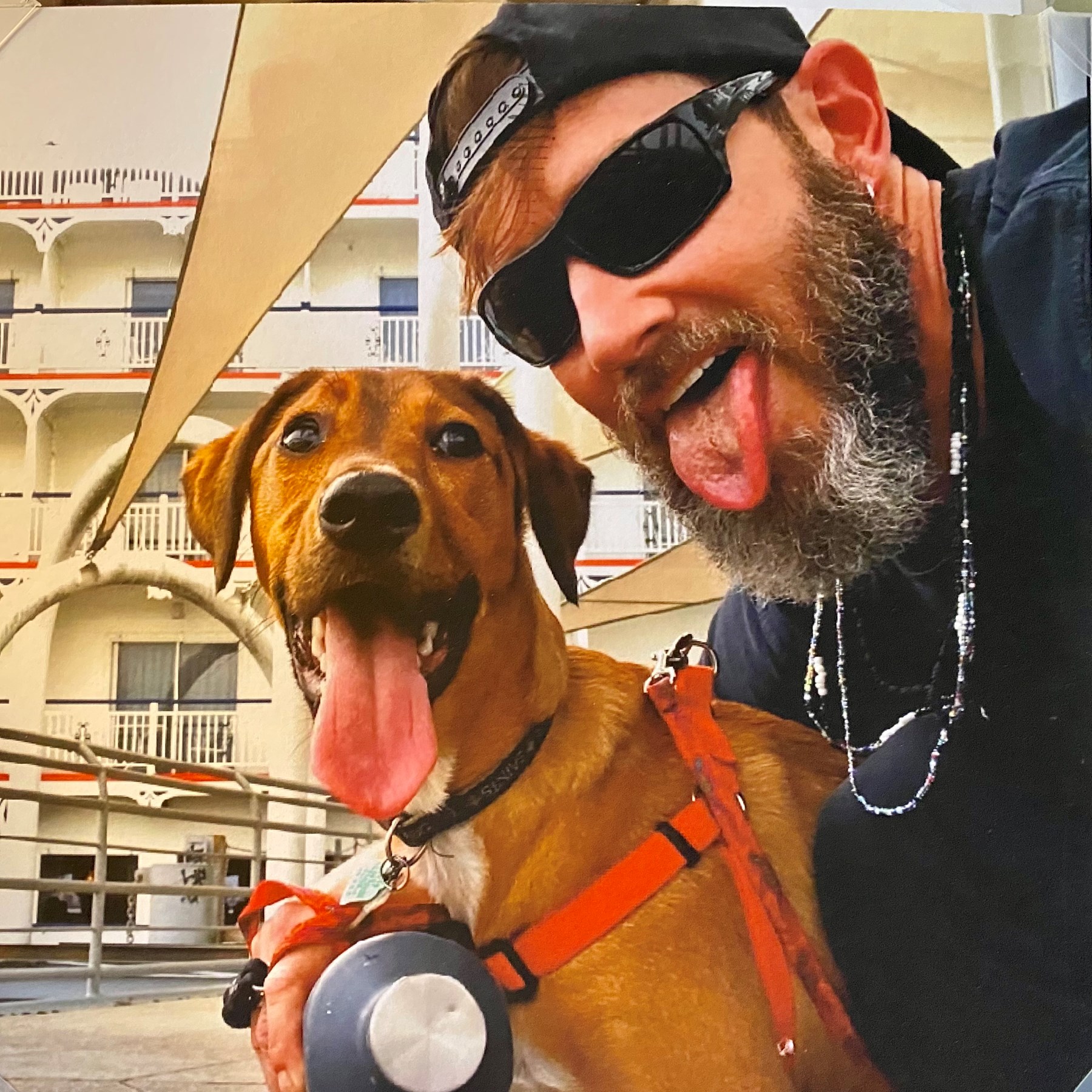 Danielle Karst's Instagram, Twitter & Facebook on IDCrawl