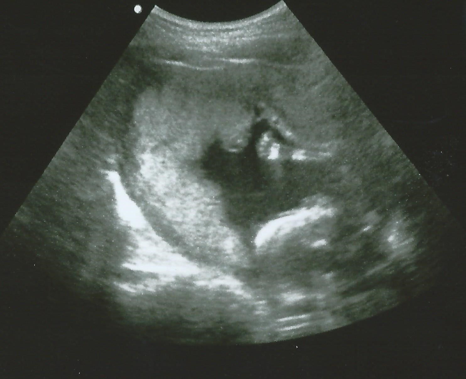 Jarve A'mauri James Collier Obituary - Houston, TX