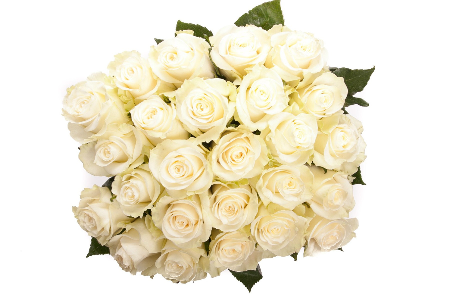 Daisy Gregory Obituary - Virginia Beach, VA