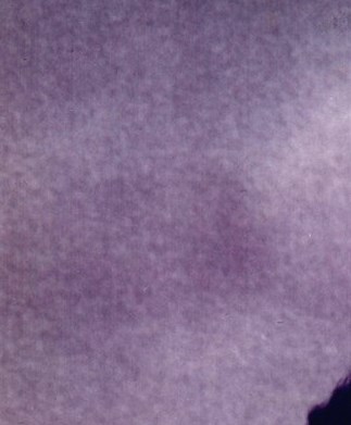 Micaela Riera Espinoza Obituary - Bell, CA Micaela Riera Espinoza Obituary - Bell, CA