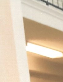 George Timothy Gernon Jr. (III) Obituary - Metairie, LA George Timothy Gernon Jr. (III) Obituary - Metairie, LA
