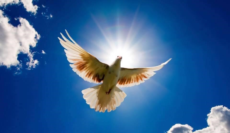 Isaiah Robbins Obituary - Chicago, IL