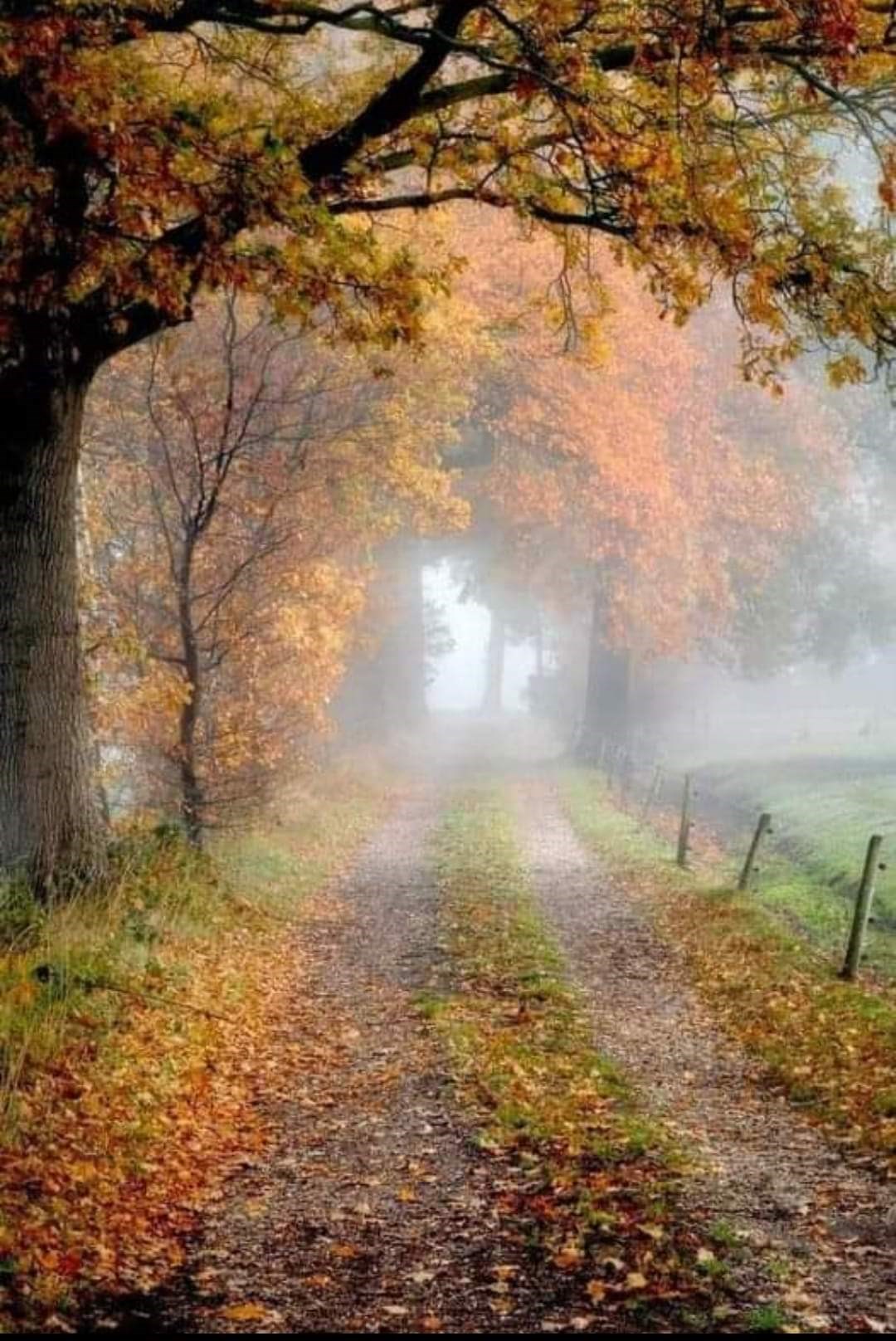 Ruby Koontz Obituary - Columbus, OH