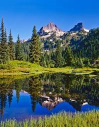 Adam Tollefsen Obituary - Redmond, WA