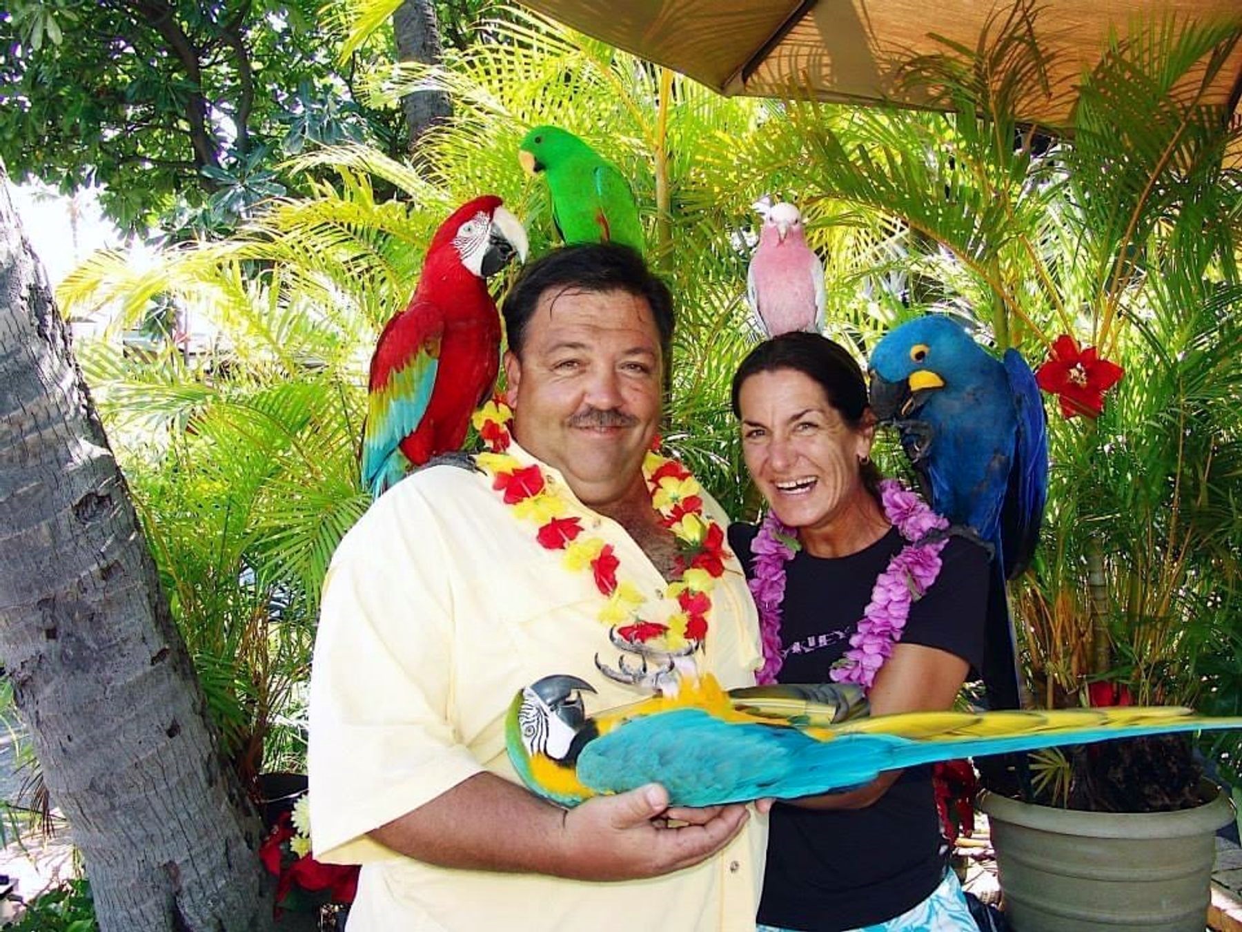 Gregory McCarty Obituary - New Braunfels, TX