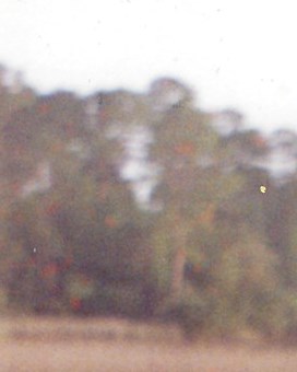 William Kersey Obituario Pensacola Fl