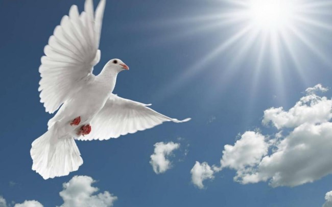 Grayson Hull Obituario - Dallas, TX