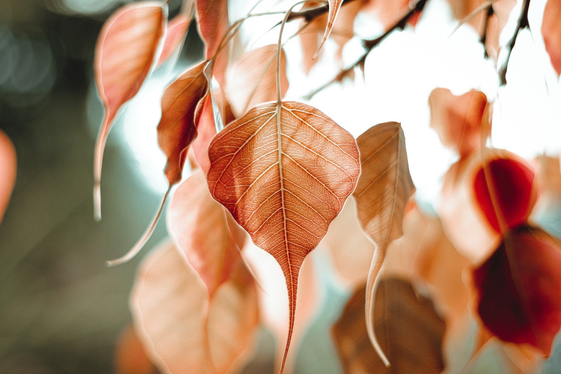 Lee Bauer Obituary - Greeley, CO