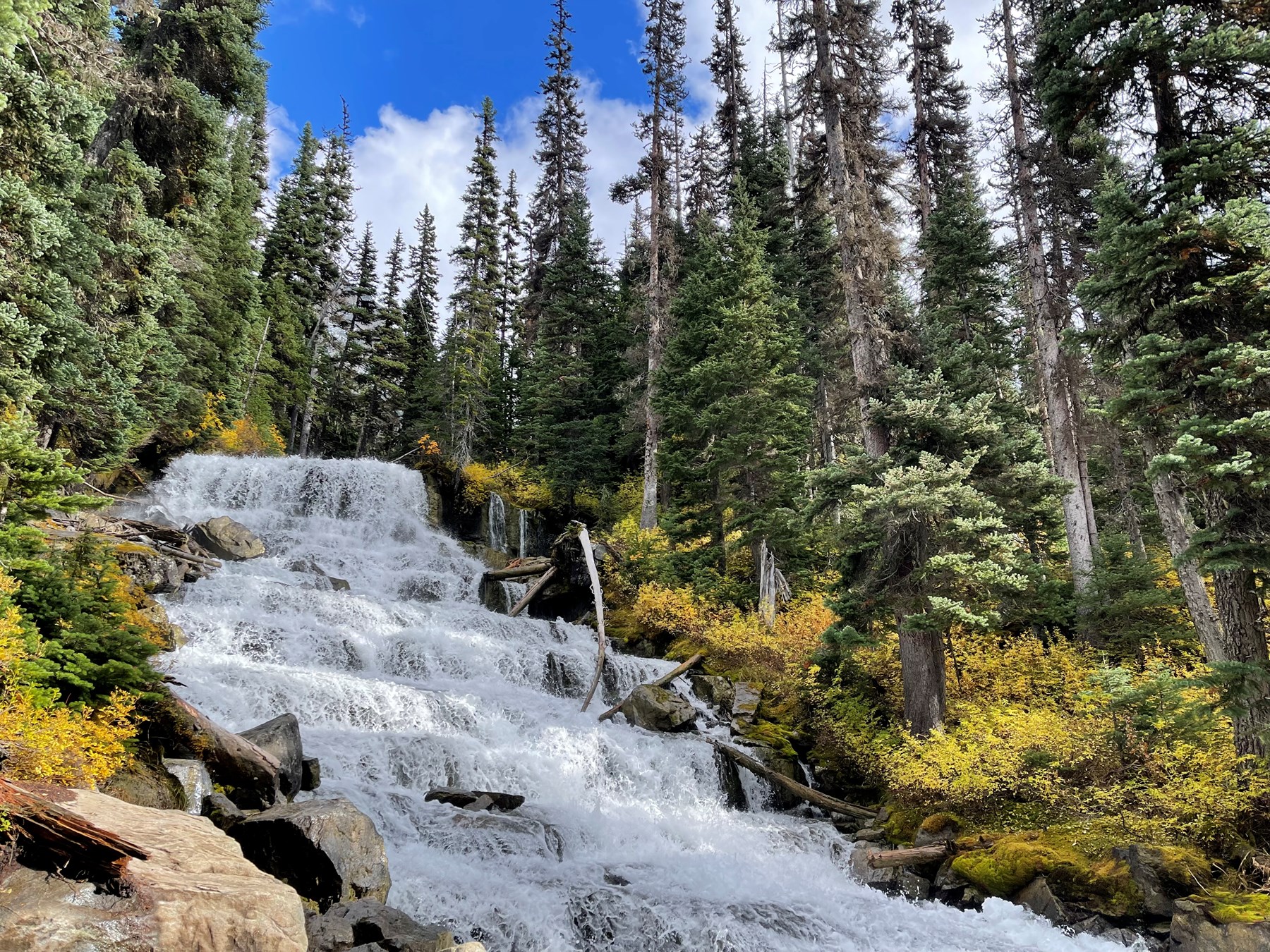 Bing Yuen Lam 林秉元 Obituary - Vancouver, BC