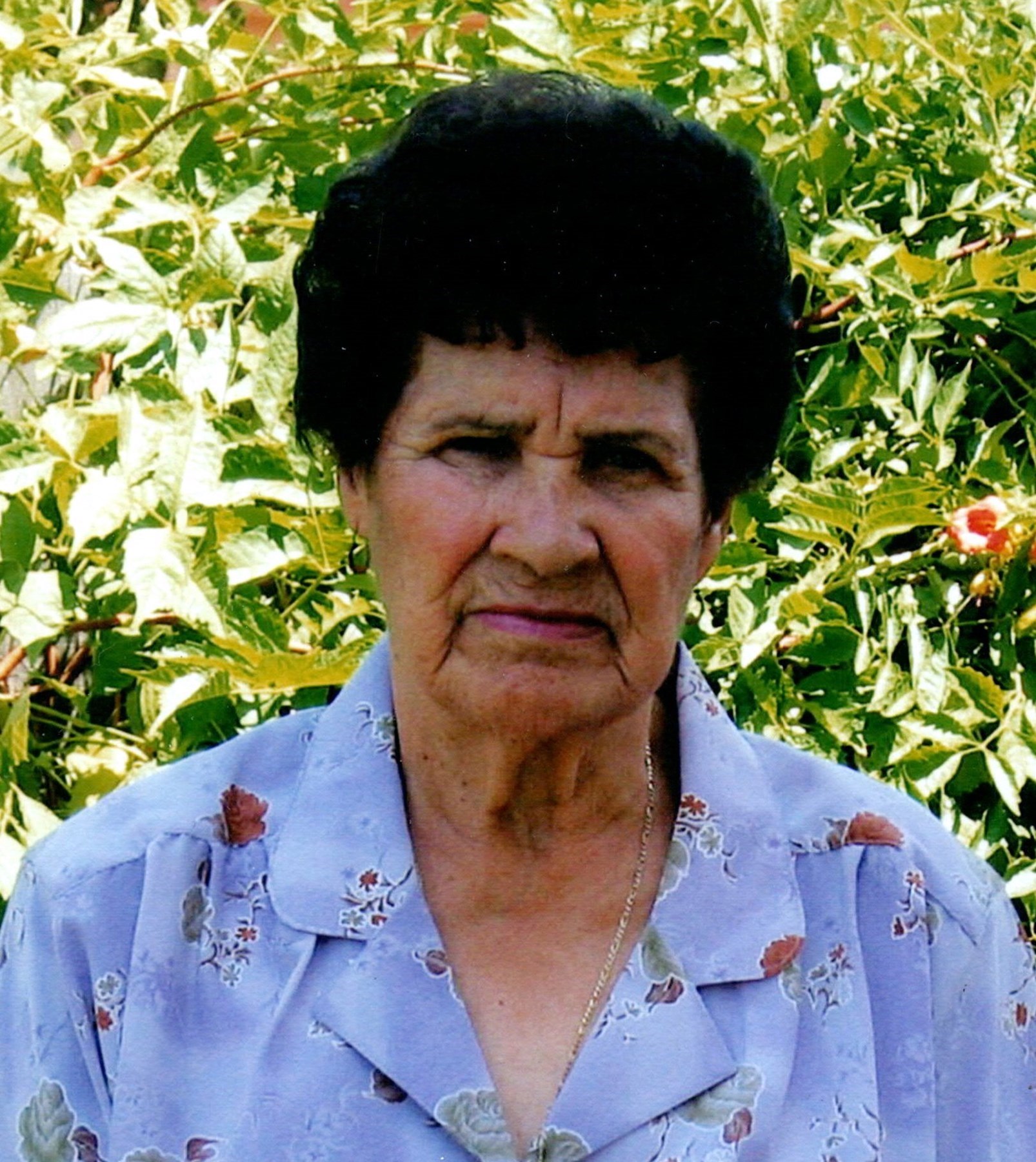 Maria de Jesus Crisanto Obituary - Woodlake, CA