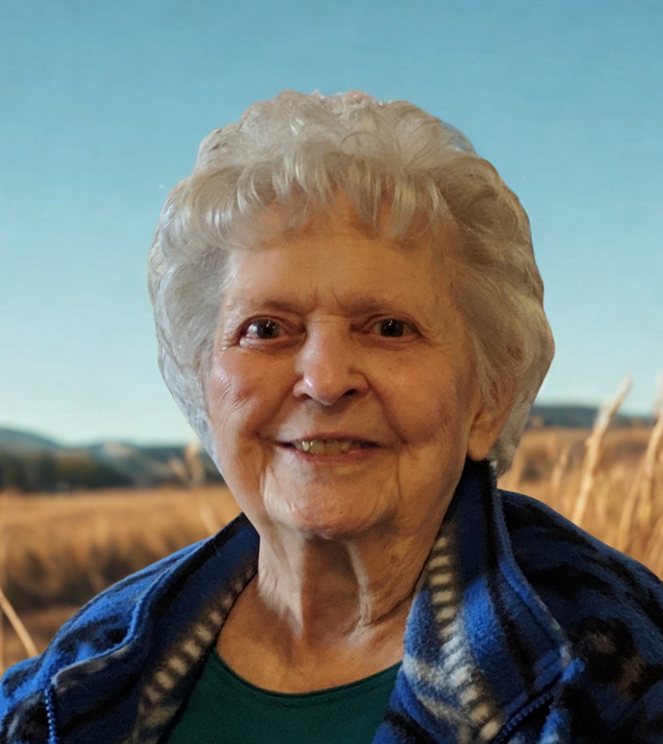 Joyce Talich Obituary - Houston, TX