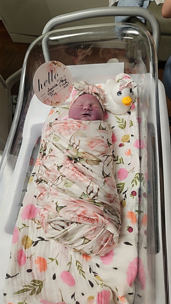 Isabella Lee Obituary - Poplarville, MS