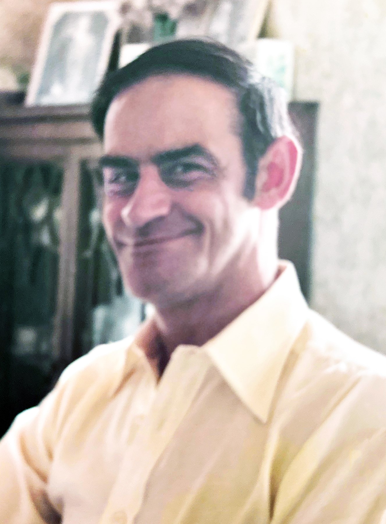 Salvadore Fanello Obituary - Mansfield, OH