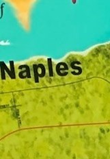 Carol Brown Obituary - Naples, FL Carol Brown Obituary - Naples, FL
