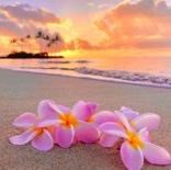 Sarah Waldman Obituary - Mission Viejo, CA