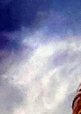 Patricia Newberry Obituary - Dallas, TX Patricia Newberry Obituary - Dallas, TX