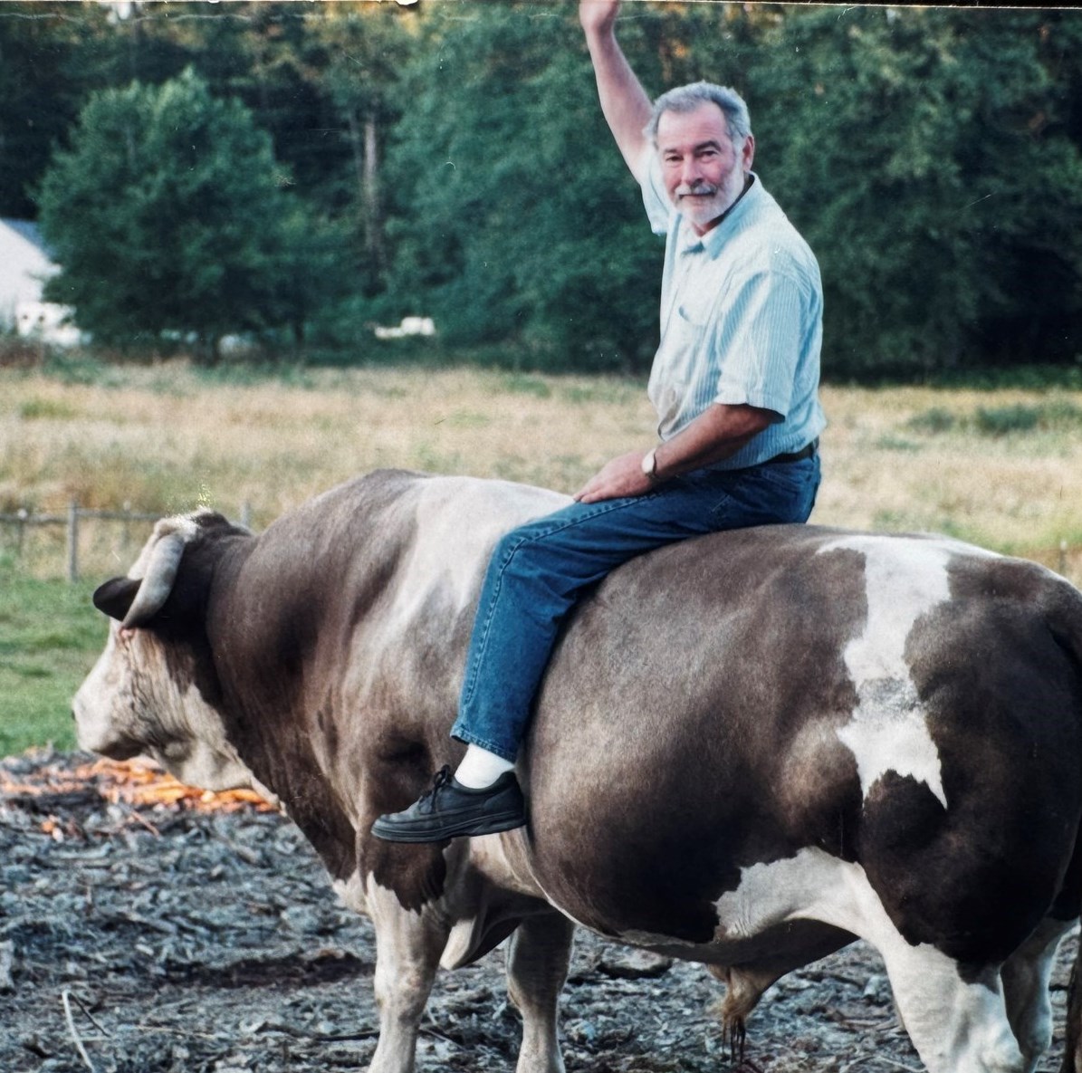 Dennis Tasoff Obituary - Seattle, WA