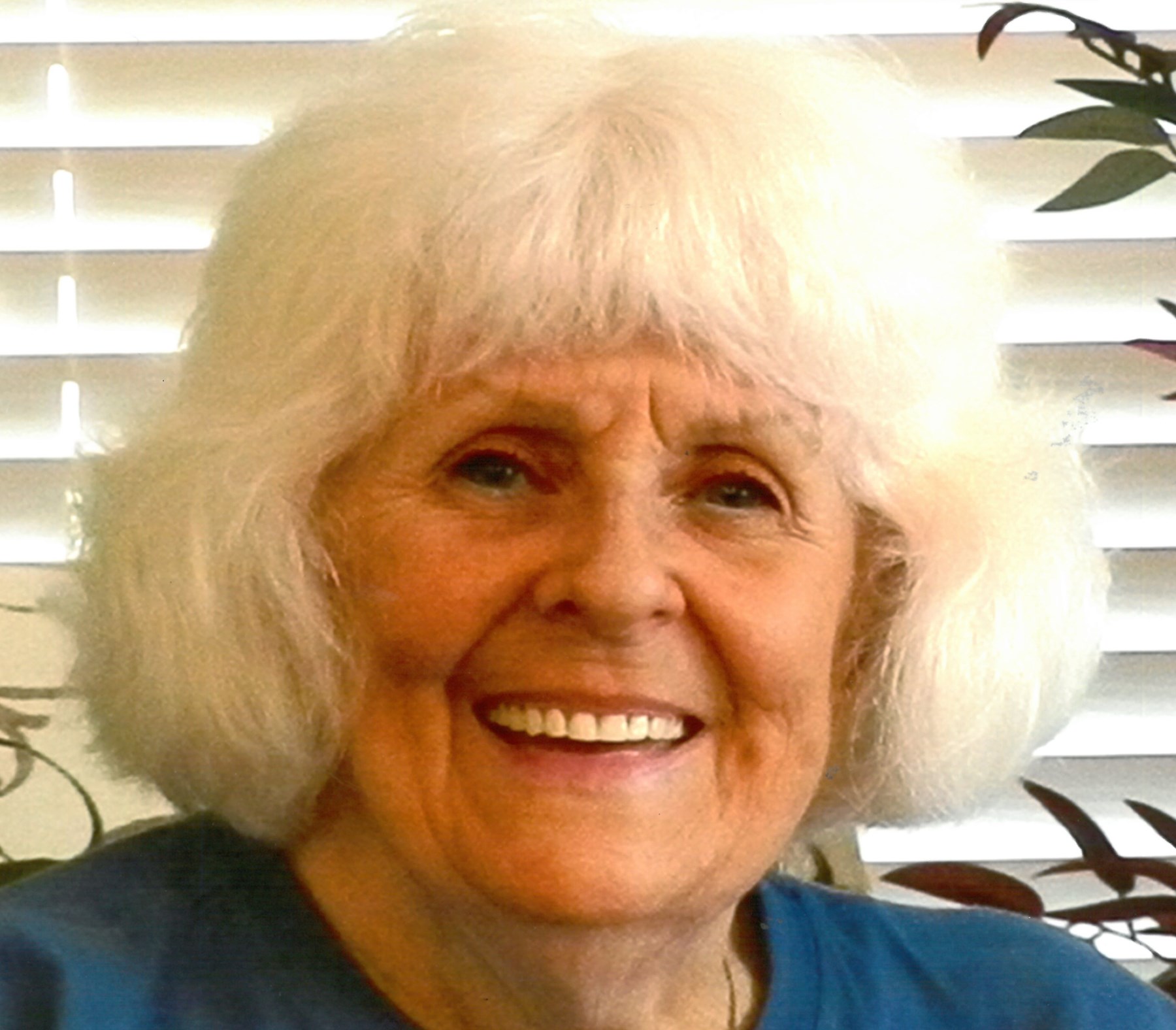 Ann Jaquith Skiles Obituary - Holland, MI