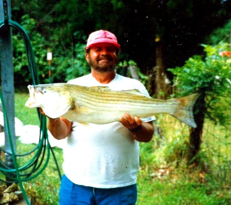 David Gormley, Sr. Obituary - Midlothian, VA