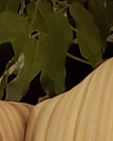 Joseph Raymond Morris Obituary - Dayton, OH Joseph Raymond Morris Obituary - Dayton, OH