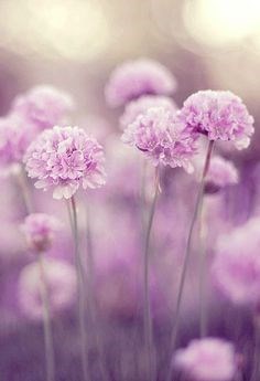 Fred Jacobson Obituary - Mission Hills, CA