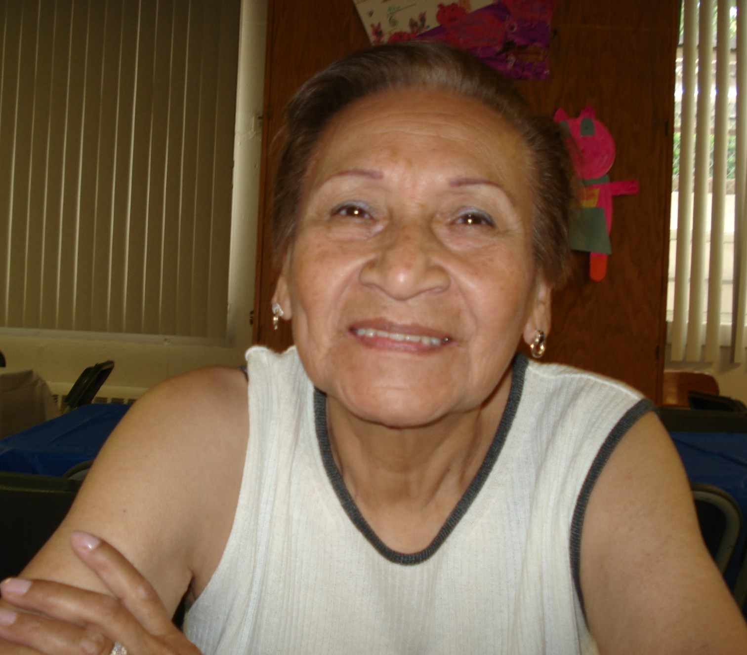 Maria Fernandez Obituary - Chicago, IL