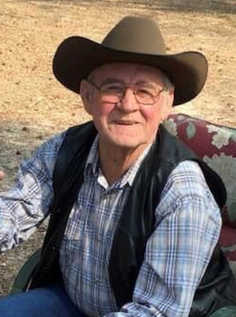 Louis Taylor Obituary - Houston, TX