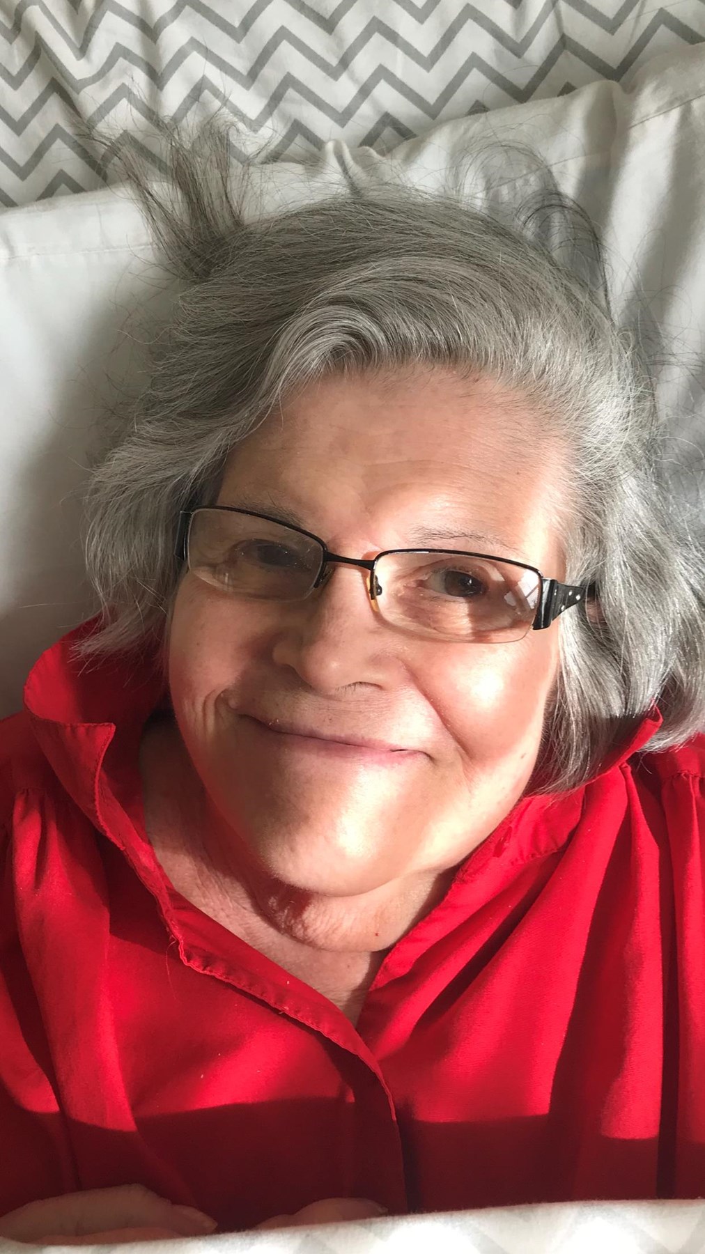 Sandra Sherman Obituary - St. Louis, MO